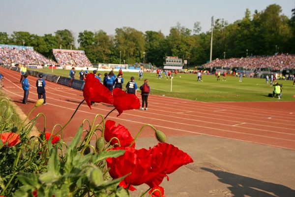 Brighton fans still reflecting fondly on 12 years of success at ...